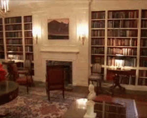 White House Web Cam - The Library
